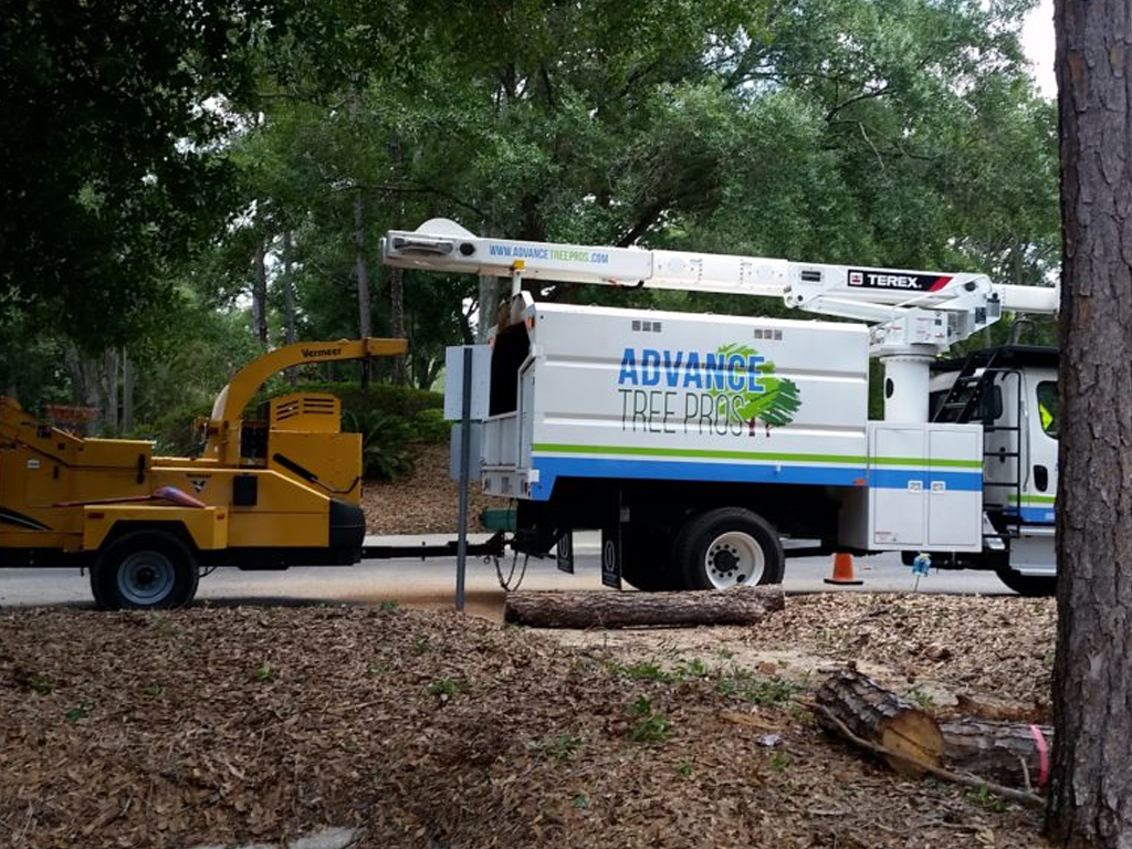 Commercial Tree Removal Orlando - Advance Tree Pros